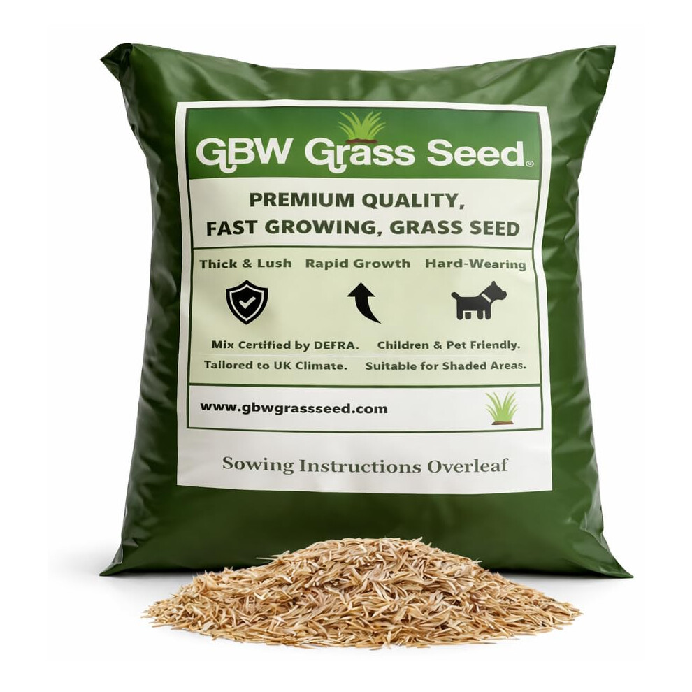 Grass seed – Find the best price