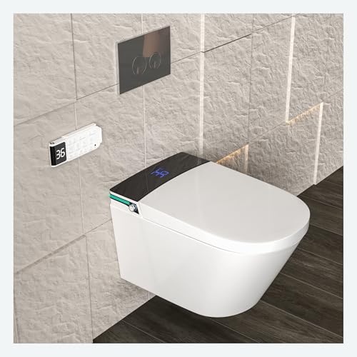 Toilet with bidet – Find the best price