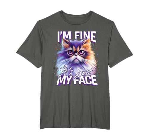 Persian cat – Find the best price