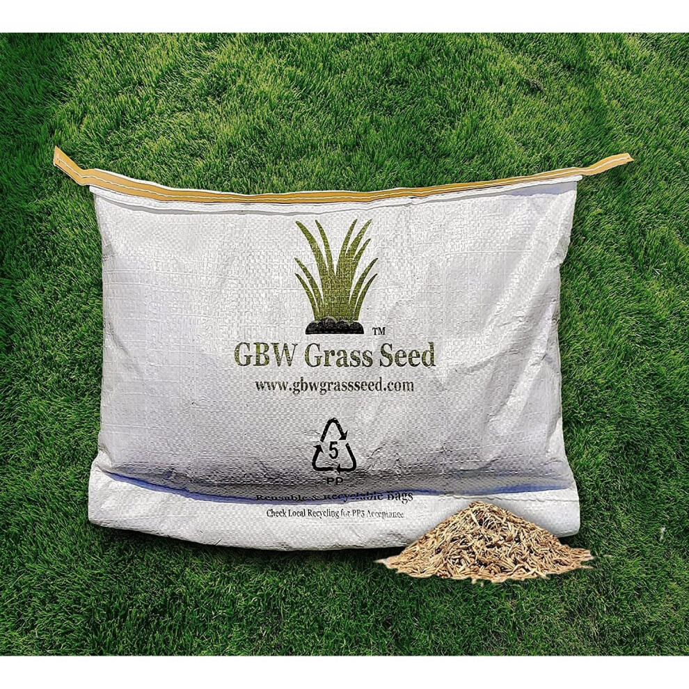 Grass seed – Find the best price