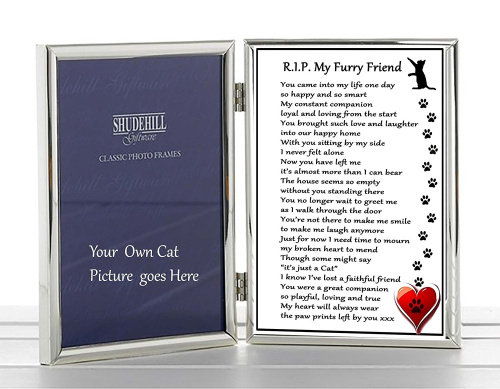 Cat frame